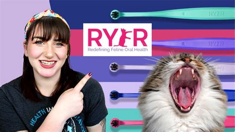 The Cat Toothbrush Revolutionizing Dental Care RYER Cat Toothbrush