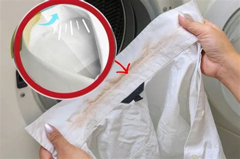 Te contaré el truco infalible de mi abuela para obtener cuellos de