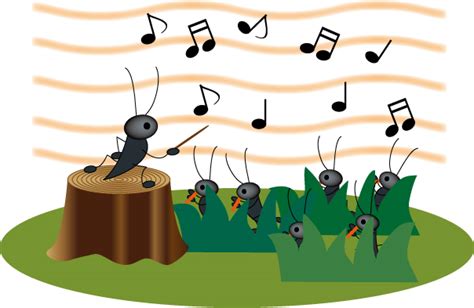 何の声かわかる秋の虫の声クイズ 一般社団法人ジョインハンズ