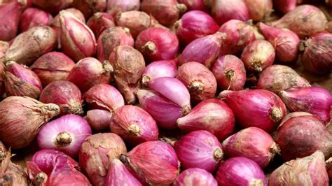 5 Cara Menanam Bawang Merah Dari Rumah Dengan Mudah