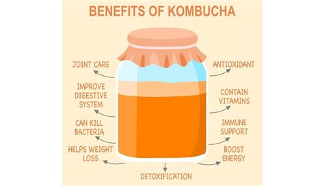 Descubre Qu Es La Kombucha Y Sus Incre Bles Beneficios Para Tu Salud