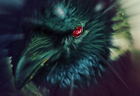 Itachi Crows Wallpaper