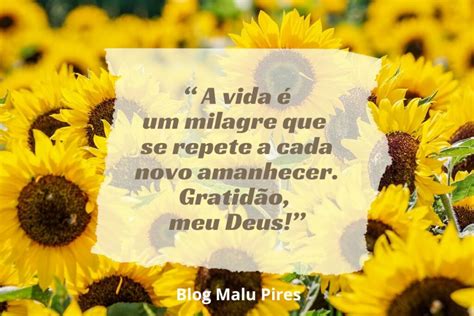 50 opções de mensagem para agradecer a Deus Malu Pires Blog