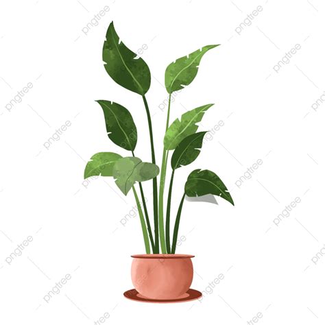 Png Pngtree