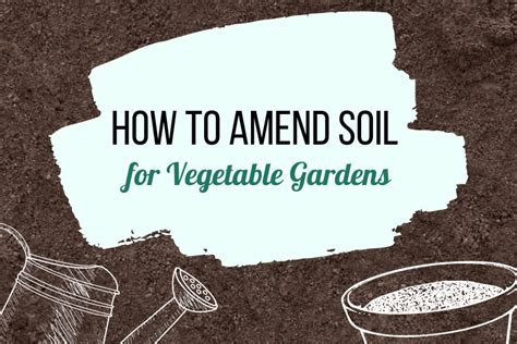 How To Amend Soil For Vegetable Gardens Offbeat Gardener