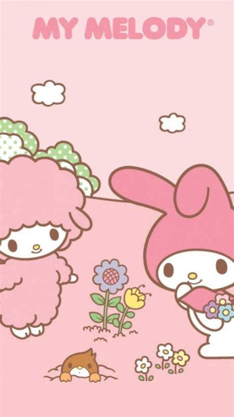 Hd My Melody Wallpaper Whatspaper The Best Porn Website
