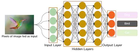 Understanding Convolutional Neural Networks