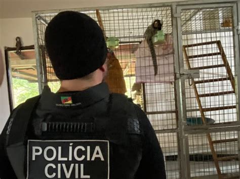 Em ação conjunta Patram e Polícia Civil apreendem macacos e cães em