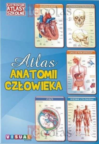 Ilustrowane atlasy szkolne Atlas anatomii człowieka Bookland