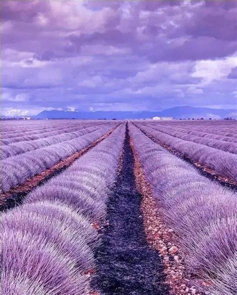 Le Ph Bus Spa Mathieu Gordes