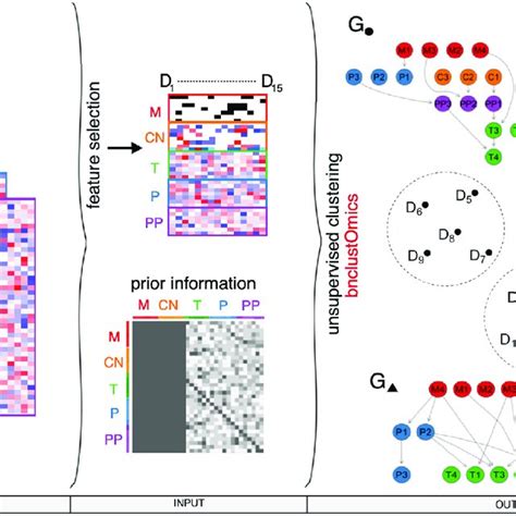 bayesian network based clustering workflow multiple omics types both download scientific