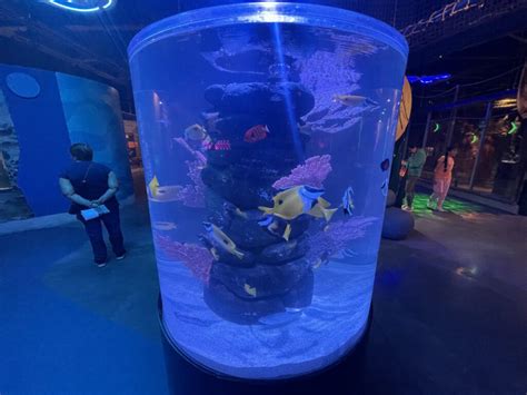 Conoce El Acuario Michin En Cdmx Horarios Precio Y Todo Lo Que Debes