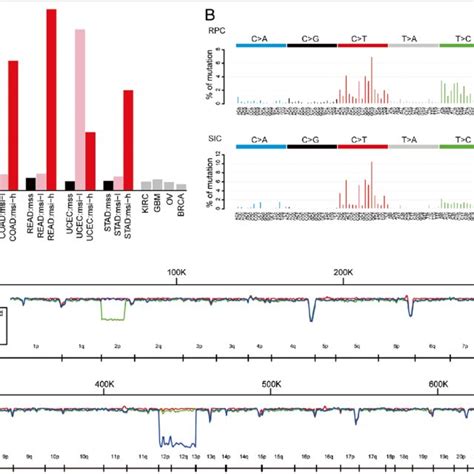 Somatic Mutations And Copy Number Alternations In A Patient With Lynch