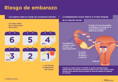Conoce Tu Sistema Reproductor EllaOne