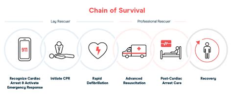 Chain Of Survival Meaning Steps And Importance