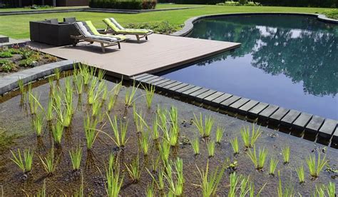 Les Diff Rents Types De Piscine Naturelles