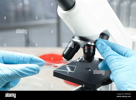 Scientist Examining Sample Of Red Liquid On Slide Under Microscope In