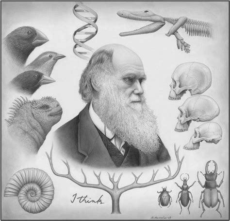 Arriba Foto Linea Del Tiempo De Charles Darwin De A Lleno