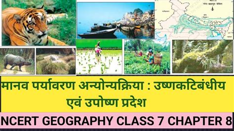 Ncert Geography Class Chapter For Ctet Uptet Kvs Dsssb Bpsc All