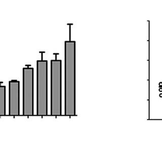 Increased Expression Of Linc01638 In HER2 Positive Breast Cancer Cells