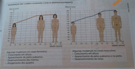 Representa O Do Desenvolvimento Do Corpo Feminino E Masculino Durante