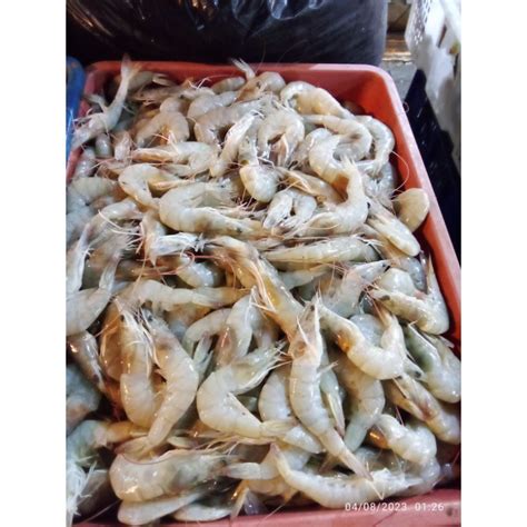 Jual Udang Presh Ukuran Sedang 250gr Shopee Indonesia