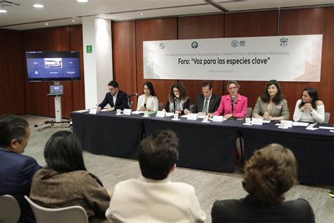 Coordinación de Comunicación Social Plantean en el Senado reforzar
