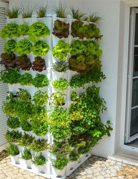 Cómo Crear Un Jardín Vertical Con Macetas JARDINOPEDIA