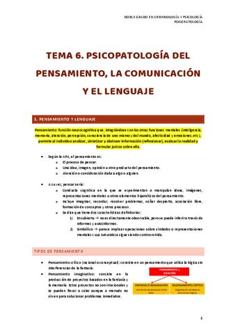 TEMA 6 PSICOPATOLOGIA DEL PENSAMIENTO LA COMUNICACION Y EL LENGUAJE Pdf