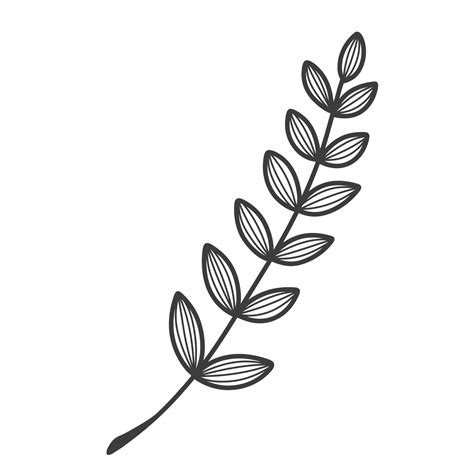 Hoja De Arte Lineal 11998078 PNG
