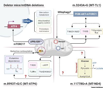 Actualités Scientifiques Médicales trendsincellbiology