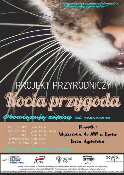 Projekt przyrodniczy Kocia Przygoda Gmina Pokój Visit namyslow pl
