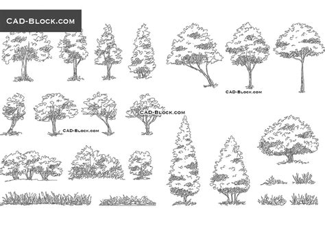 007 Vegetation Cad Blocks Simple Trees Elevation 3dshopfree 44 OFF