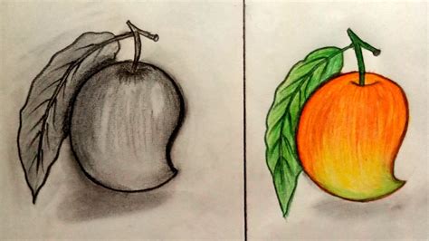 How To Draw A Mango Step By Step Mango Pencil Sketch Farjana
