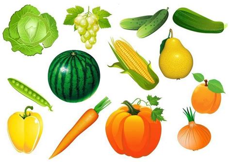 Juego Simb Lico Recolectamos Fruta Dibujos Frutas Y Verduras