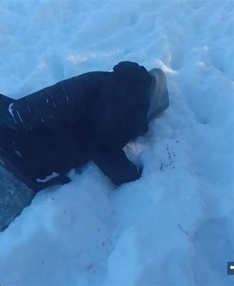 Ukraina paralajmëron ata që kalojnë në krahun e rusëve me imazhet e