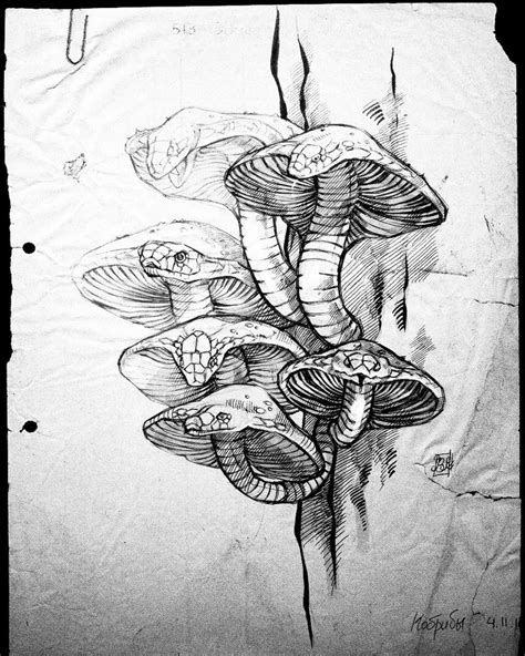 A Pencil Drawing Of Three Mushrooms On A Piece Of Paper