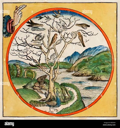 5 der Tag der Schöpfung Genesis 01 20 23 erschafft Gott alles Leben