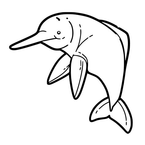 Desenhos De Boto Cor De Rosa 6 Para Colorir E Imprimir ColorirOnline