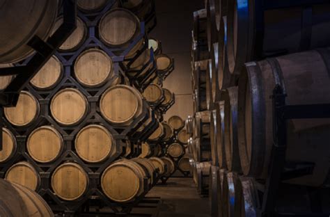Variedades De Uvas Tintas En La Mancha Vinos De La Mancha