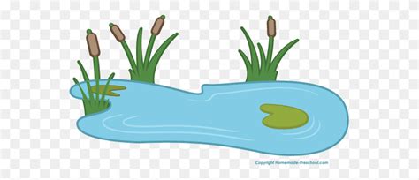 Pond Clip Art Plants Clipart Stunning Free Transparent Png Clipart