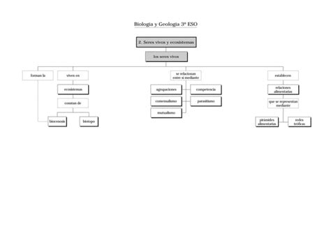 Mapa Conceptual Biologia Y Geologia Eso Ppt