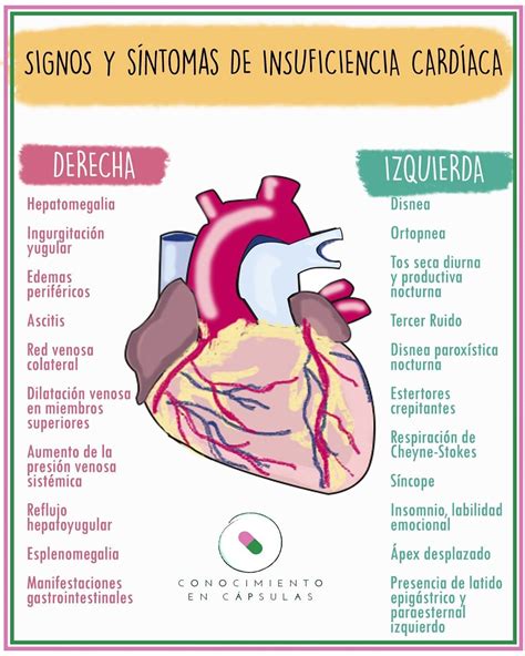 Signos Y S Ntomas De Insuficiencia Card Aca Cosas De Enfermeria