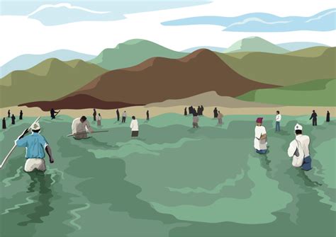 Fiesta del Charco en La Aldea Canal del Área de Tecnología Educativa