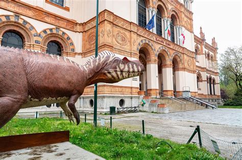 Esplorando Le Meraviglie Museo Di Storia Naturale Milano Famiglie In