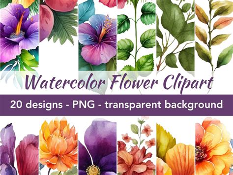 Clipart Wild Flowers Colorful Watercolor Flowers PNG Files Etsy