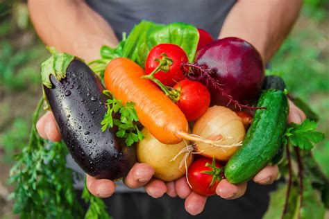 8 Tips For Growing Your Own Vegetables At Home Tasteful Space