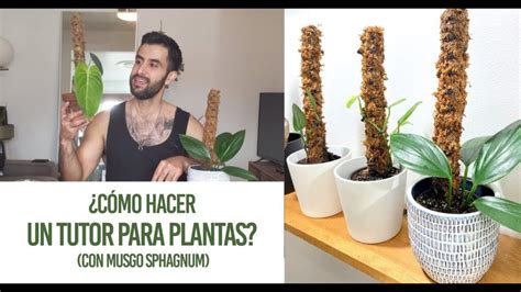 Tutores Para Plantas Con Material Reciclado Tutorial Paso A Paso
