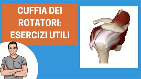 Malattia Confessare T Tendinite Cuffia Dei Rotatori Spalla Sintomi