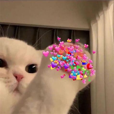 Tổng hợp meme yêu thương hài hước cute đáng yêu